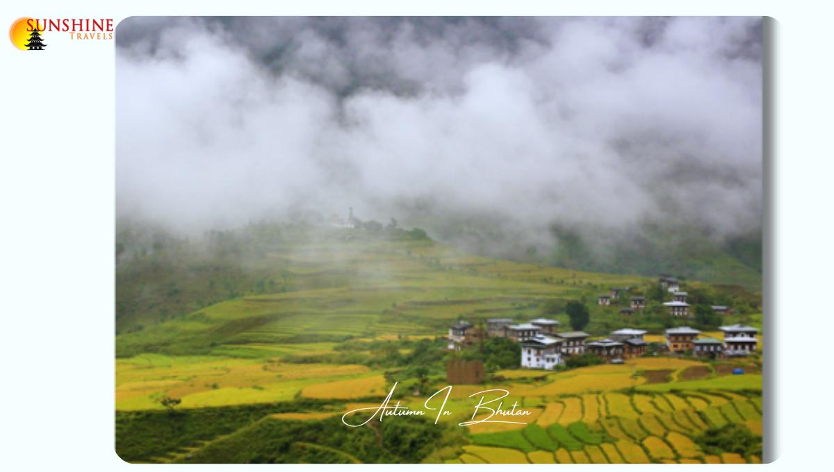 The Best Time to Visit Bhutan with Family: A Seasonal Guide: