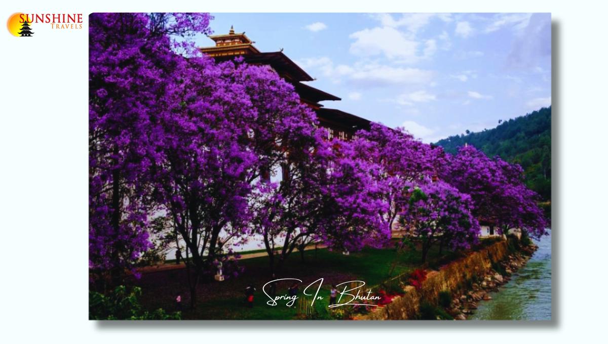 The Best Time to Visit Bhutan with Family: A Seasonal Guide: